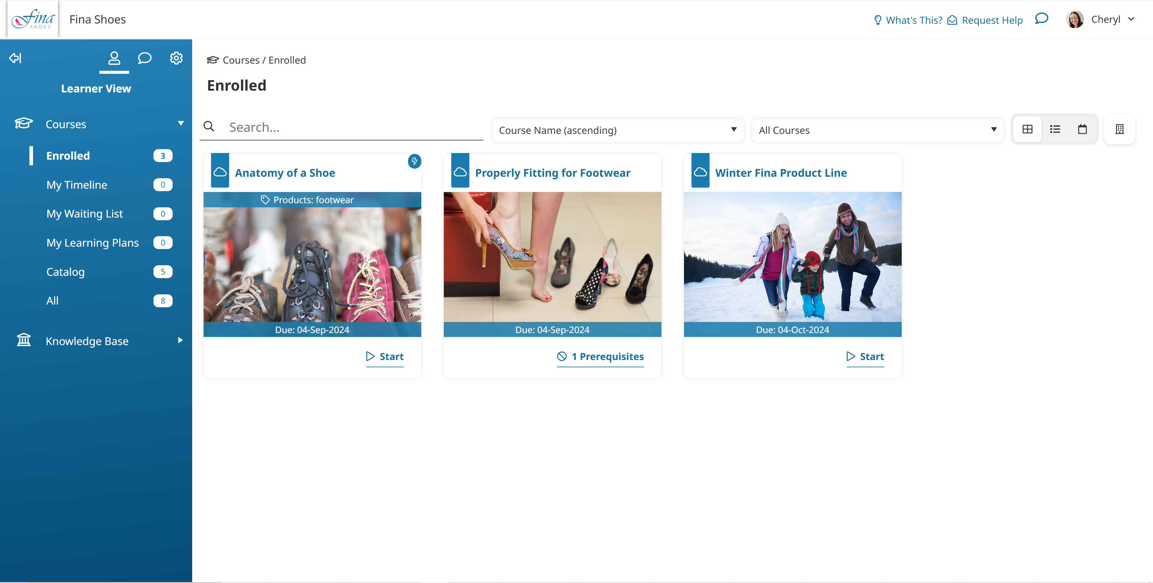 Learner Interface: Default Learner Interface